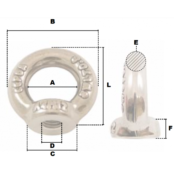 Female lifting ring stainless steel - Levagemanutention.com