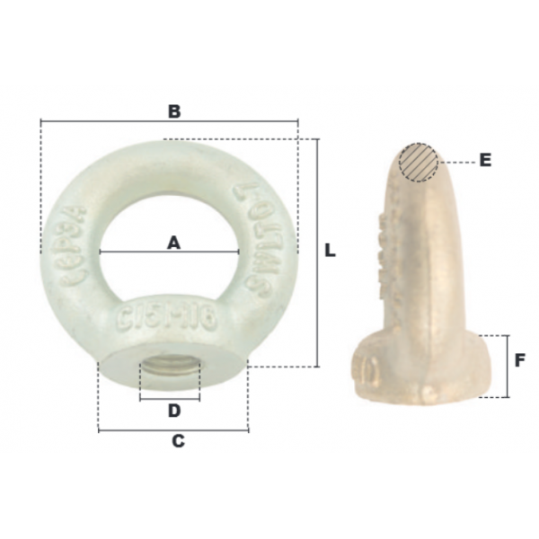 White zinc-plated female lifting ring - AFDG - Levagemanutention.com