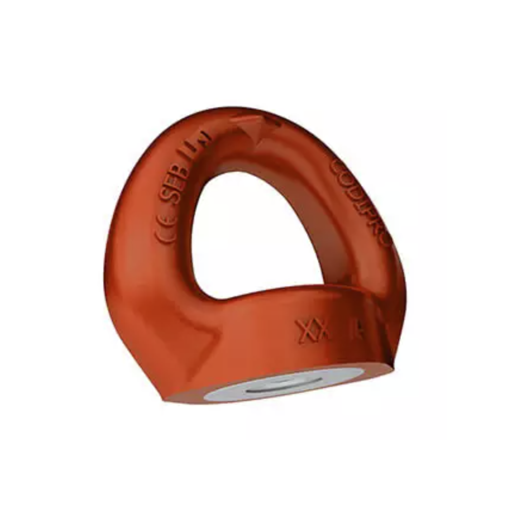Lifting rings - Standards and GradUp - Levagemanutention.com